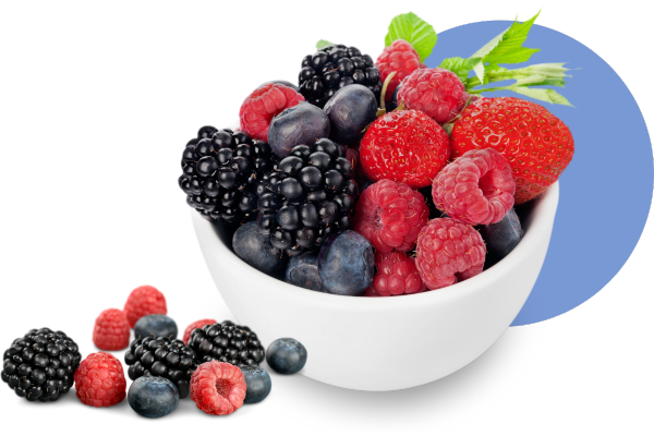 Berry Fields Colombia